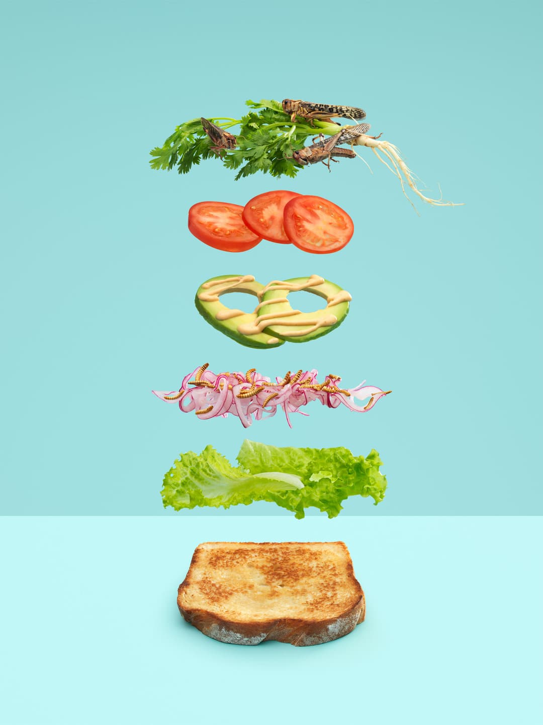 exploded sandwiches - Brödinstitutet — Studio Kleiner