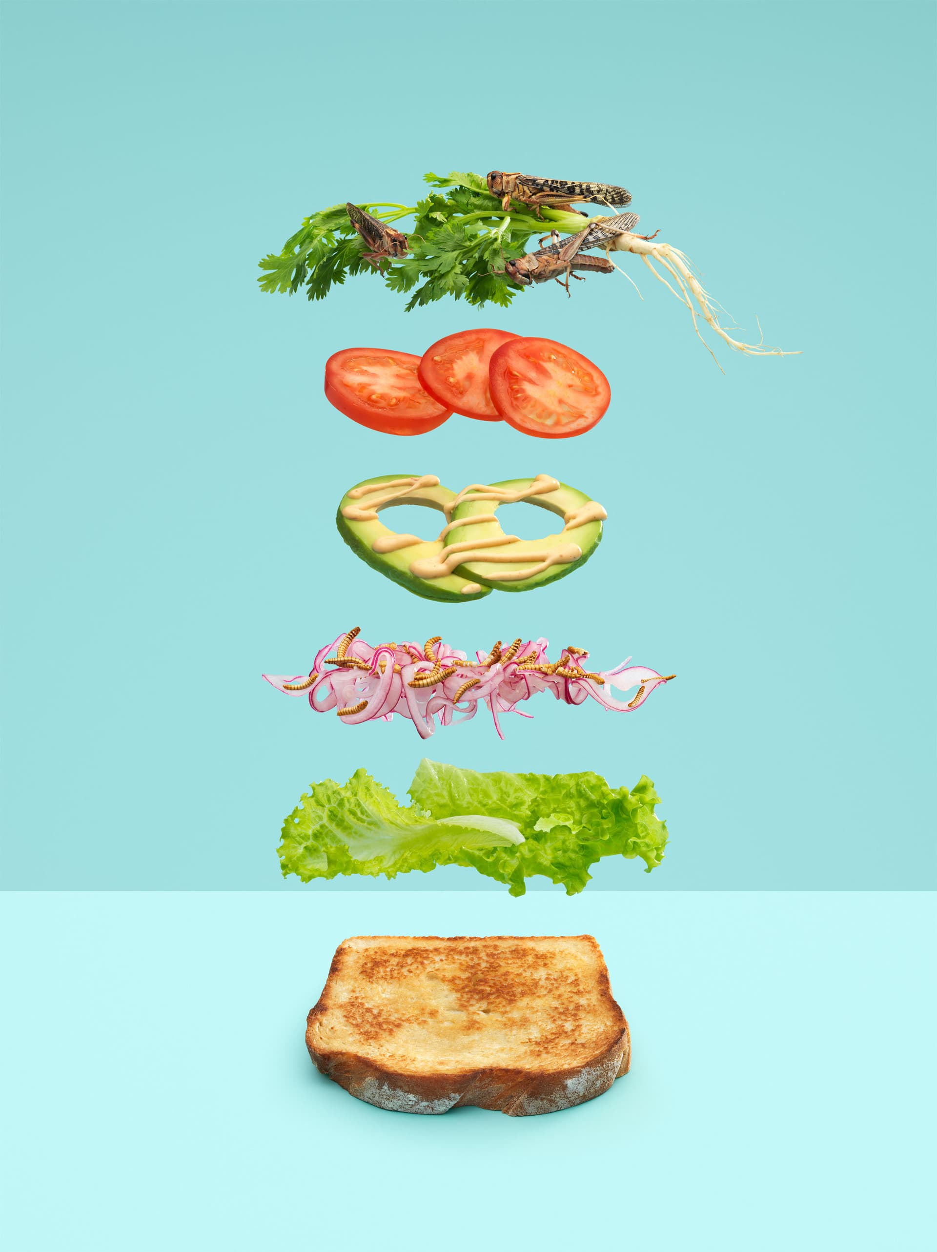 exploded sandwiches - Brödinstitutet — Studio Kleiner