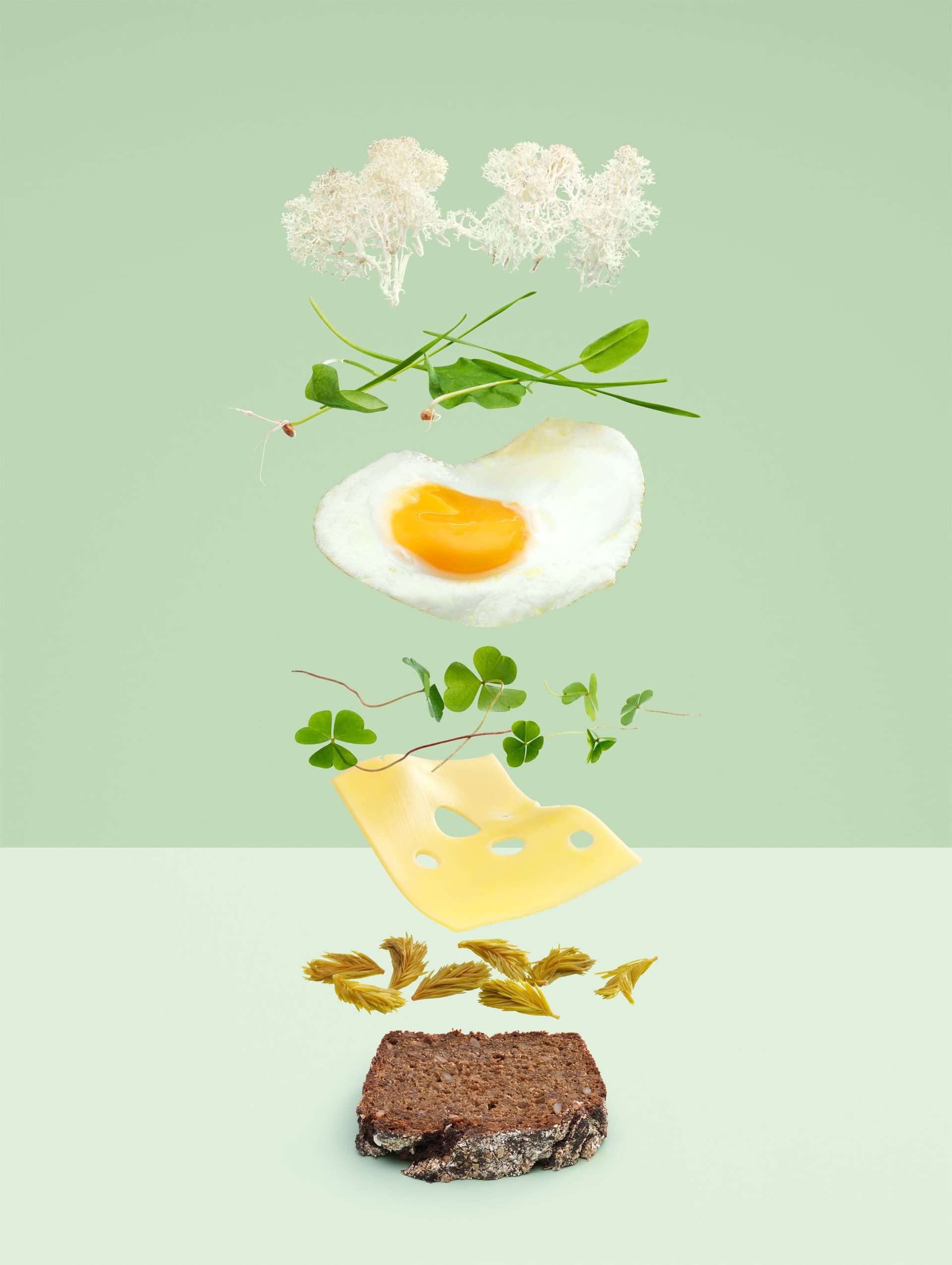 exploded sandwiches - Brödinstitutet — Studio Kleiner