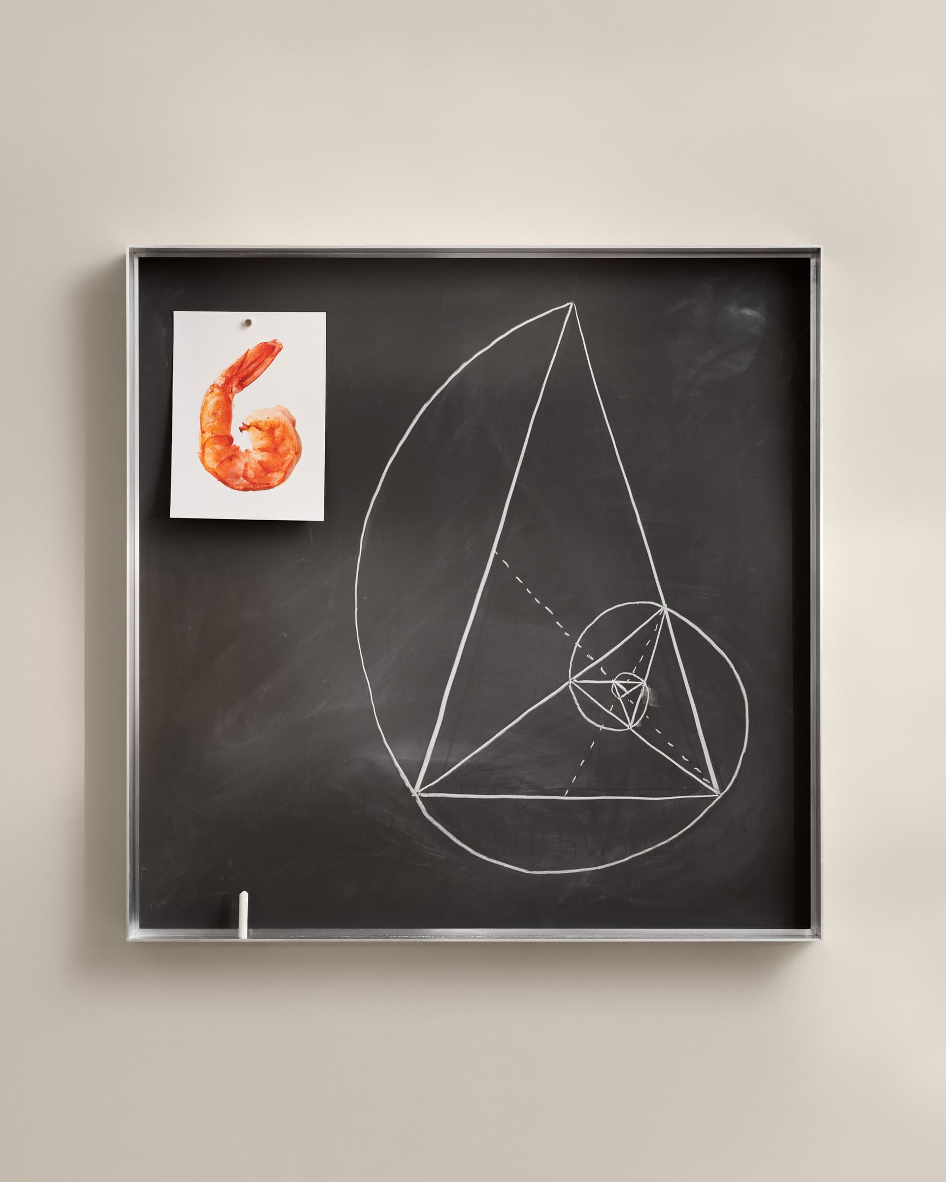 mathematics - Kleiner space — Studio Kleiner